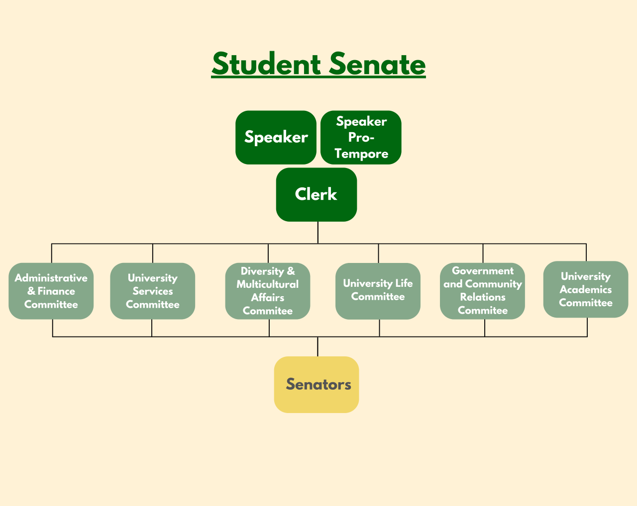 Student Senate Student Government
